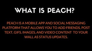 The Beginners Guide to Peach | PDF