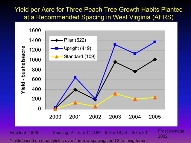 Peach system training | PDF | Woodworking | Arts and Crafts