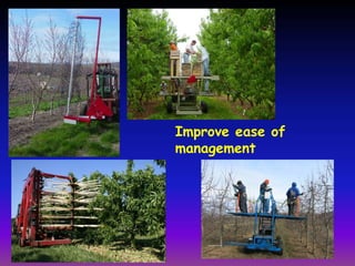 Peach system training | PDF