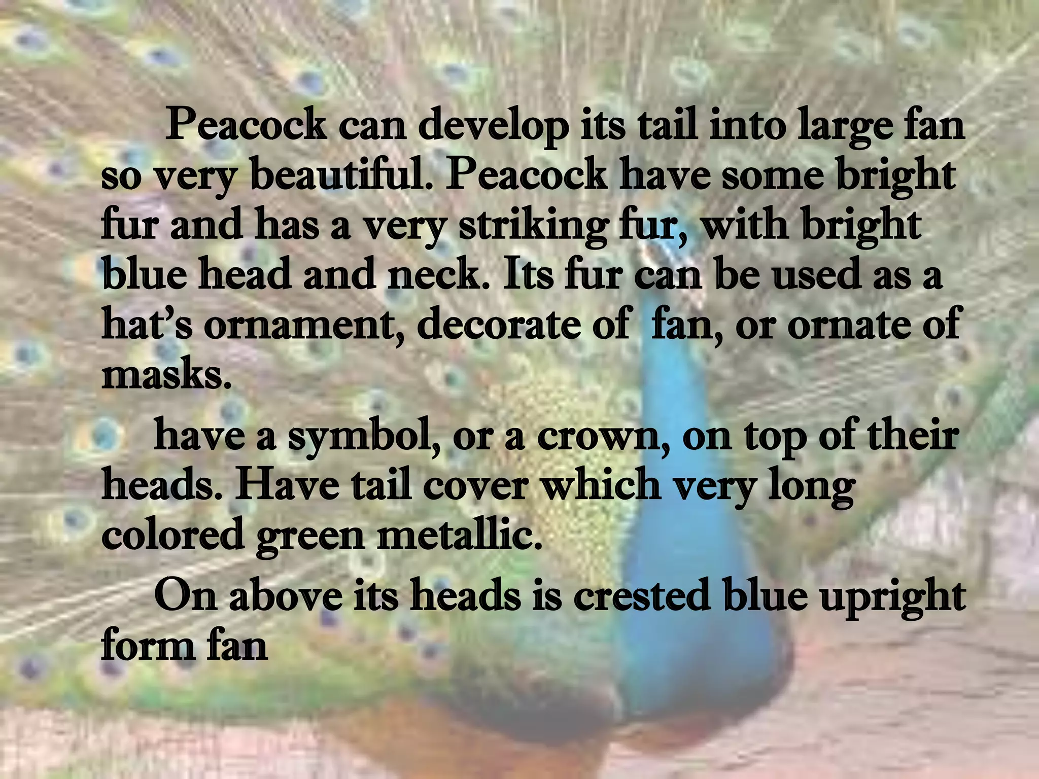 Presentation About Peacock | PPTX | Birds | Pets