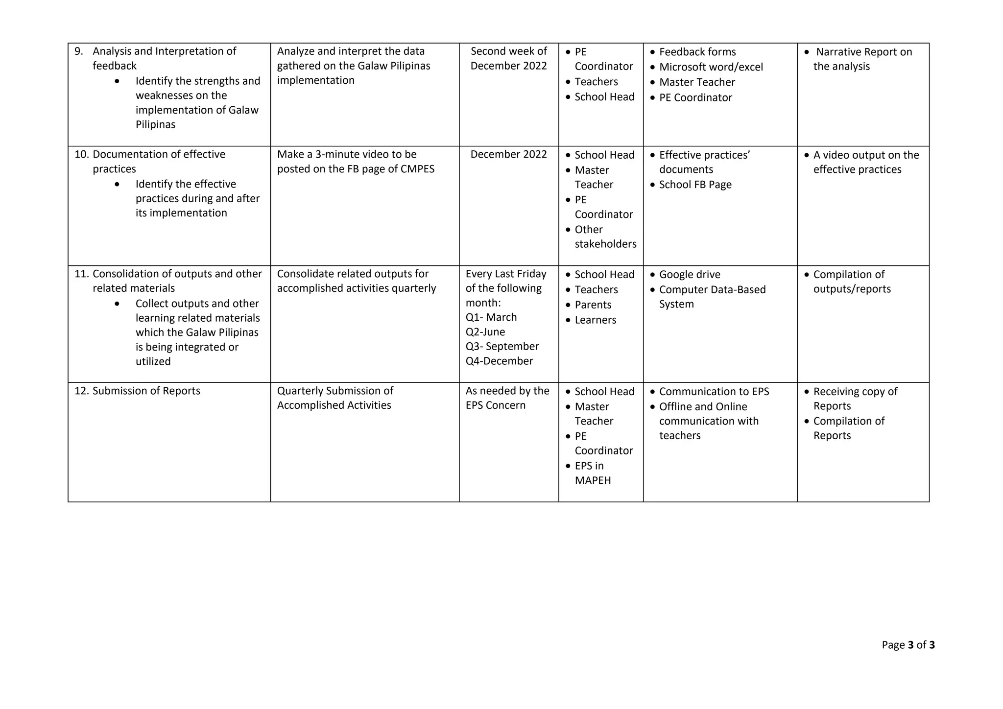 PE Action Plan.docx