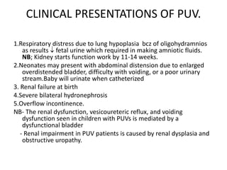 PEADIATRIC UROLOGY.pptx