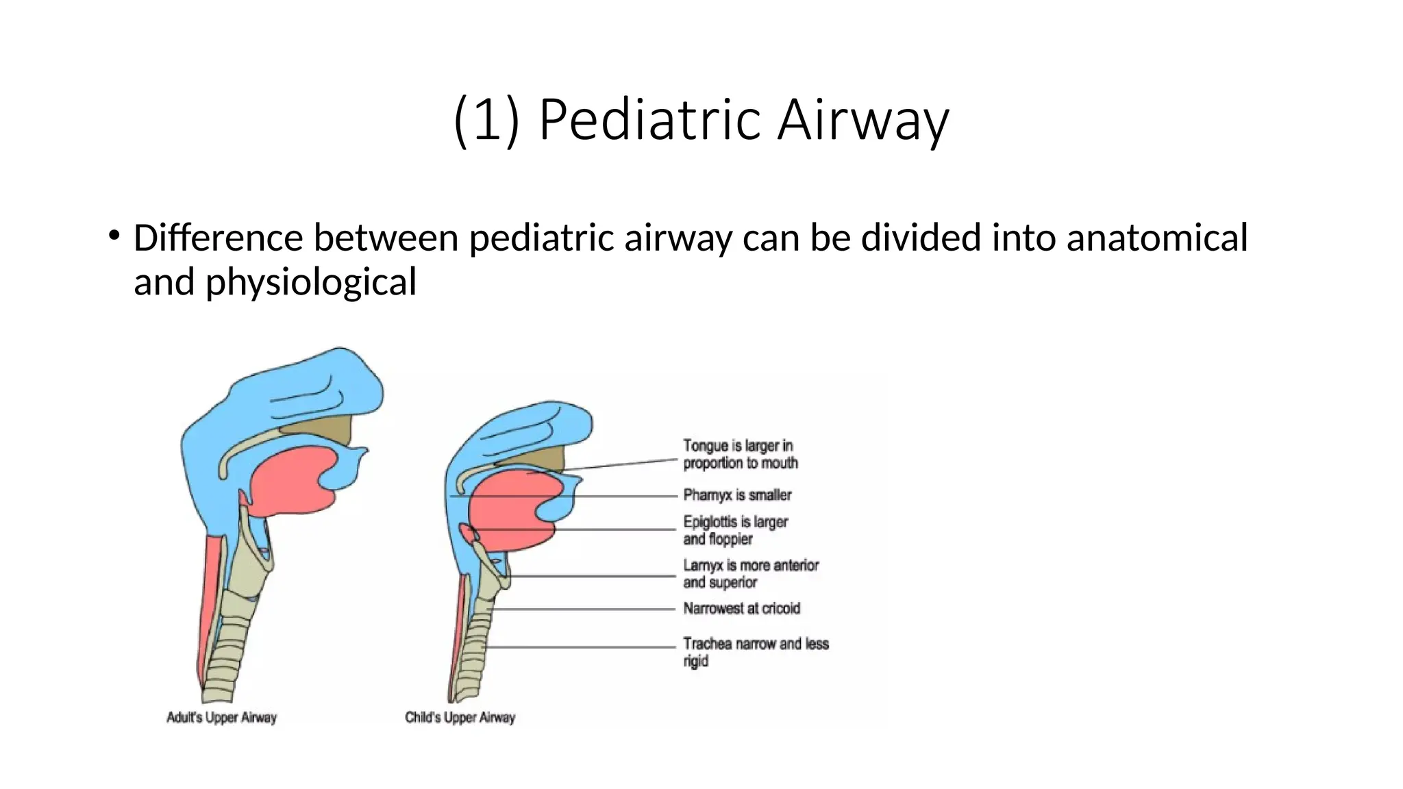 Peadiatric Anaesthesia - Airway Assessment | PPTX