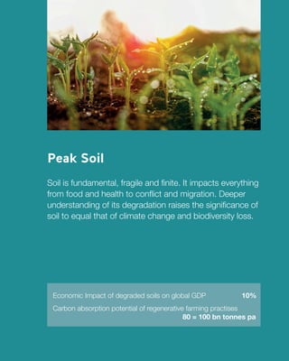 Peak soil | PDF