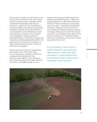 Peak soil | PDF
