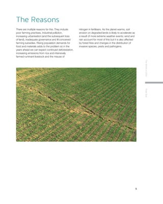 Peak soil | PDF