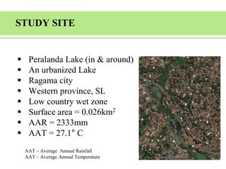 Species diversity and abundance of avifauna in and around an urbanized ...
