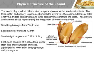 PEANUT-FINAL.pptx