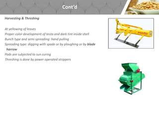 PEANUT-FINAL(2).pptx