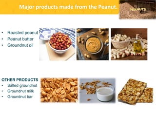 PEANUT-FINAL(2).pptx