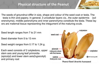 PEANUT-FINAL(2).pptx