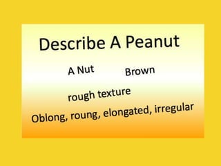 Peanut activity | PPTX