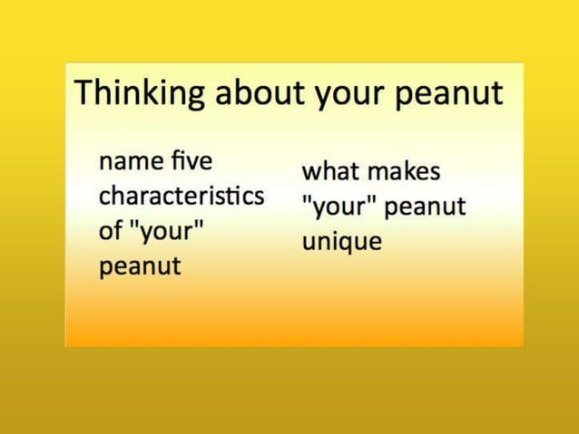 Peanut activity | PPTX