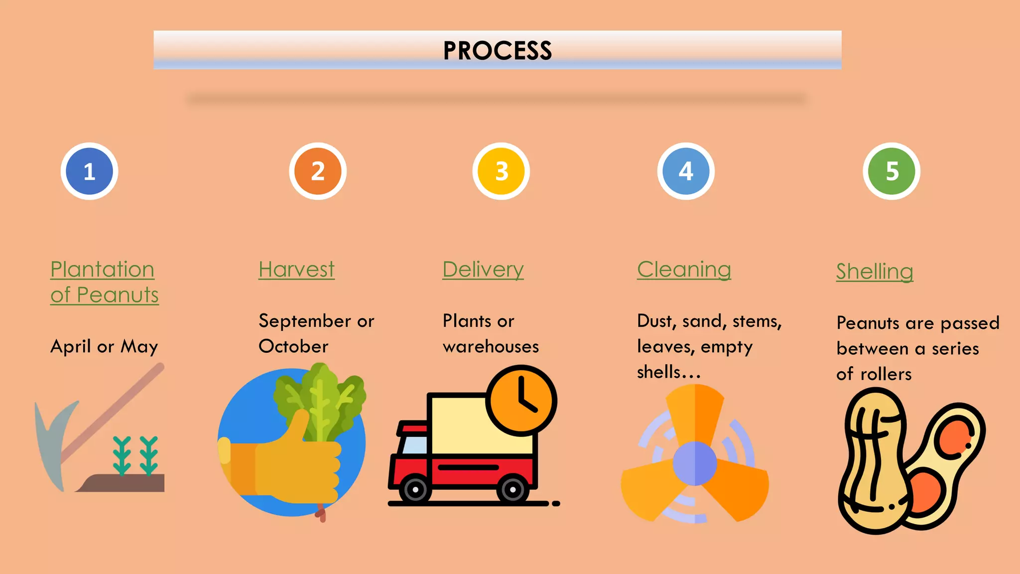 Peanut Butter Process and Fun Facts | PDF