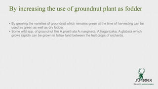 Peanut crops in india 2020 | PPTX | Agriculture | Industries