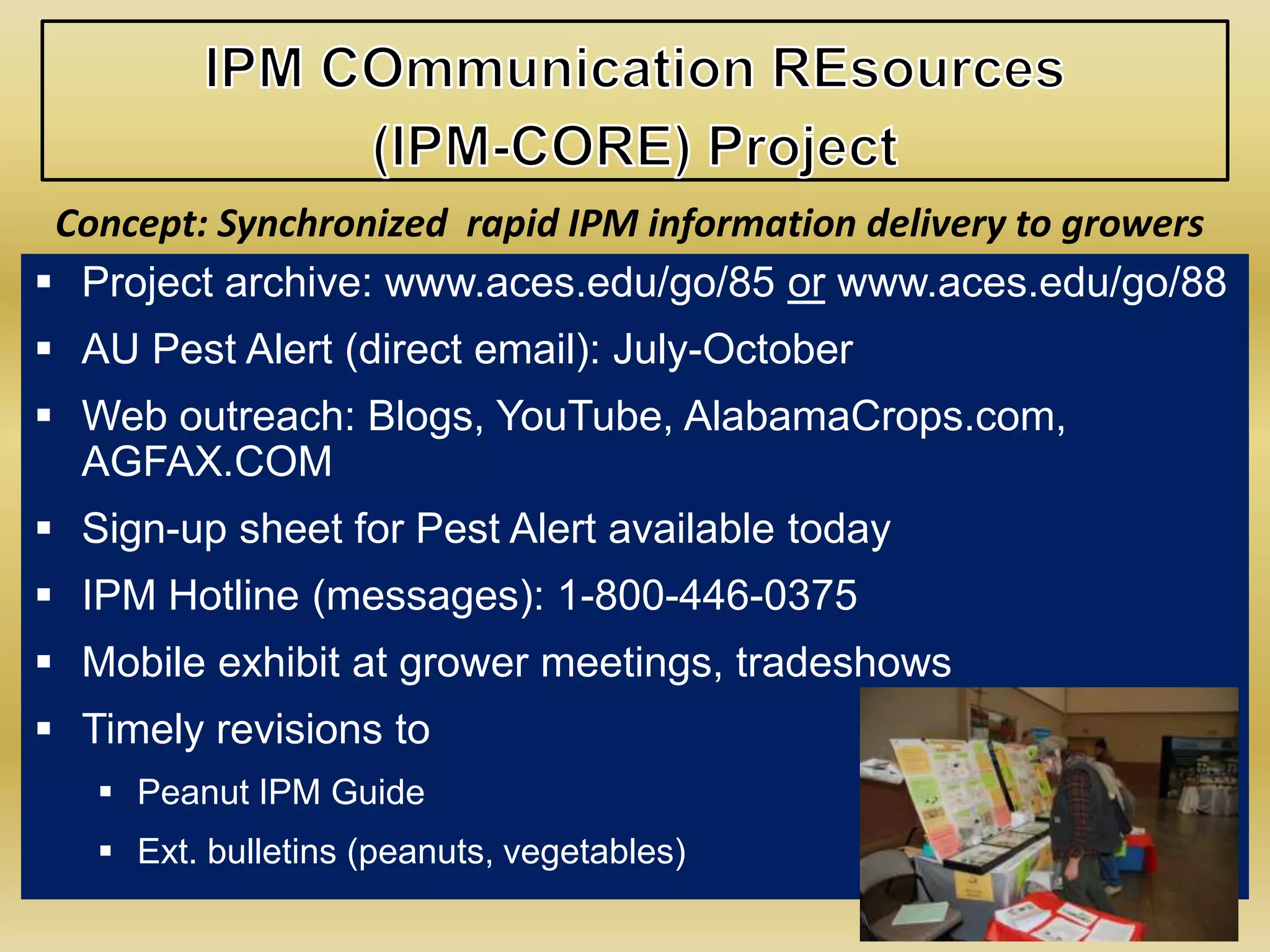 Peanut IPM Update 2010 | PPT