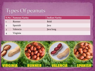 Peanuts types and processing presenstation | PPTX
