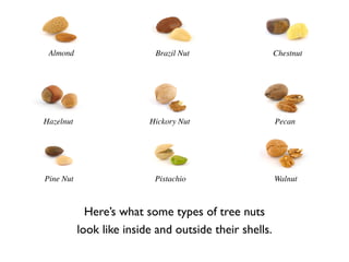 Kids Allergies: Peanuts and Tree Nuts | PPT