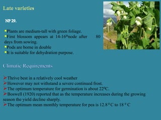 Cultivation of Pea | PPTX