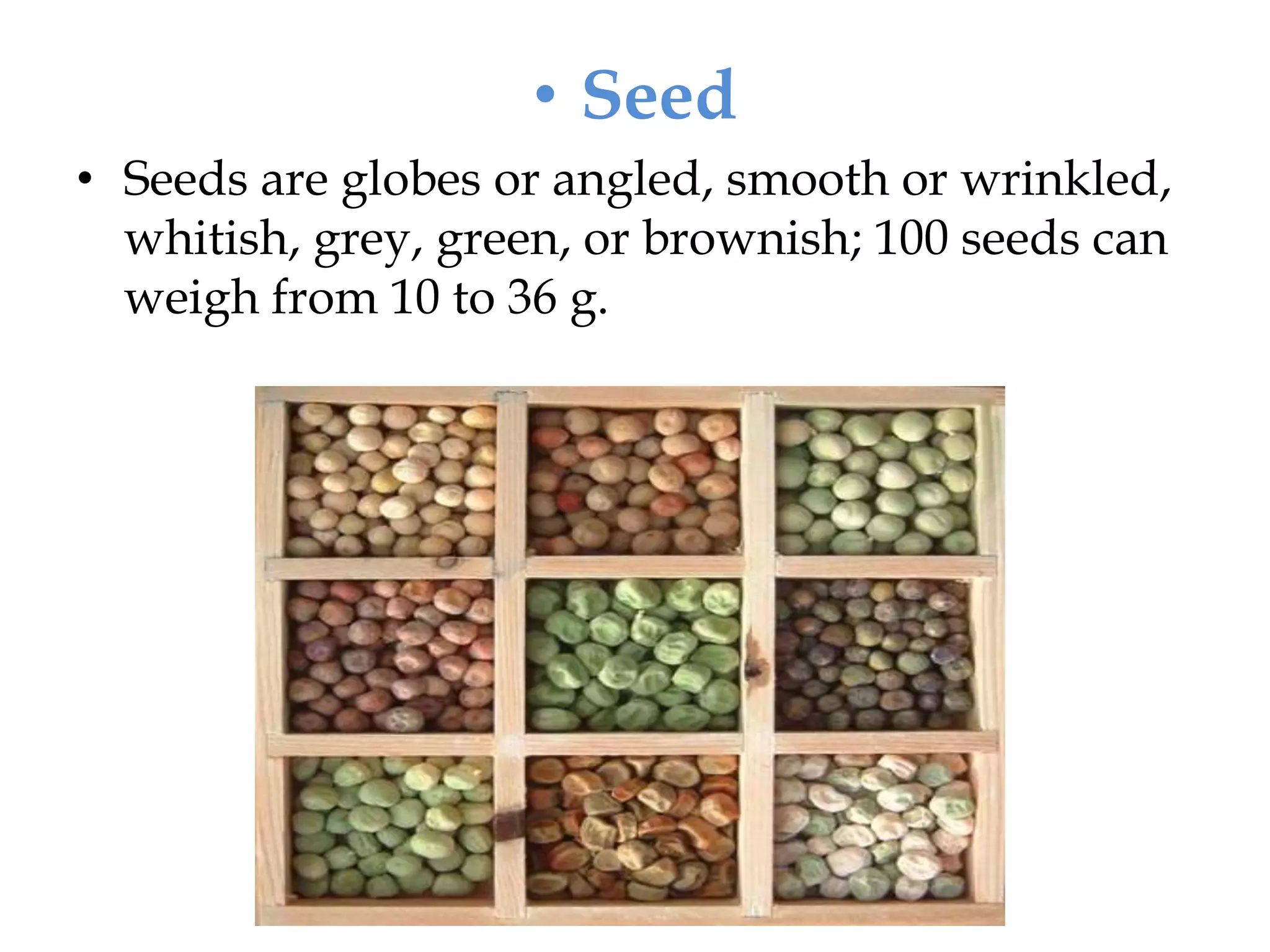 Pea cultivation presentation | PPTX