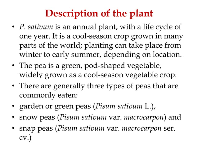 Pea cultivation presentation | PPTX | Gardening | Home & Garden