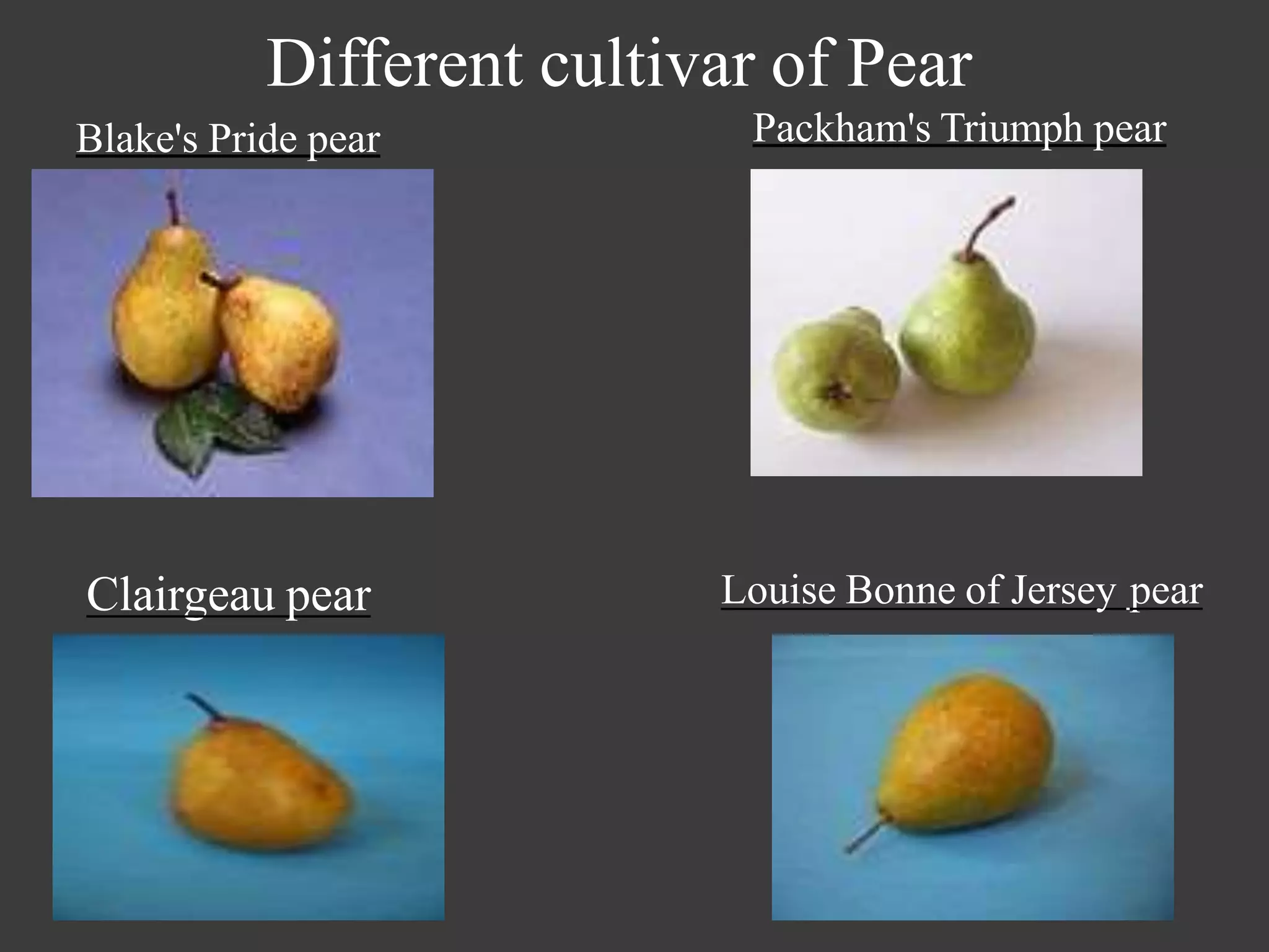 Cultivation of Pear | PPTX
