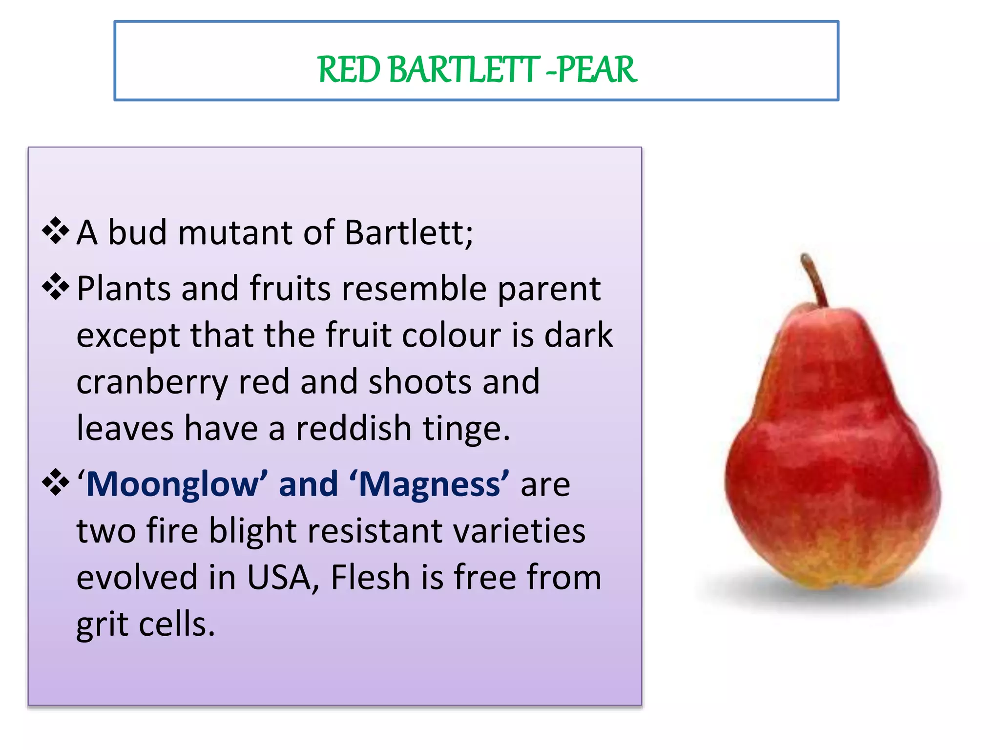 DESCRIPTION AND IDENTIFICATION OF VARIETIES IN PEAR | PPTX