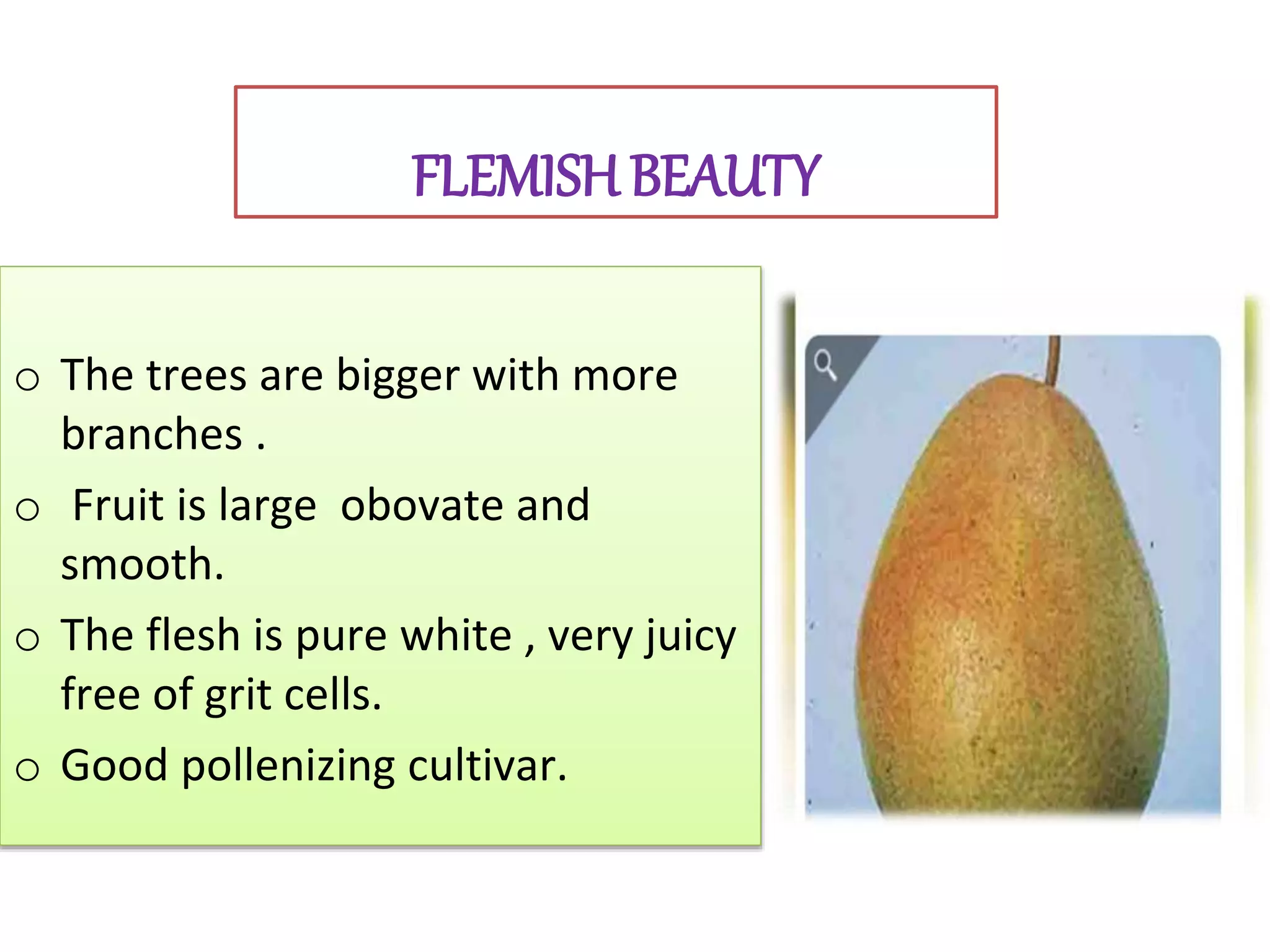 DESCRIPTION AND IDENTIFICATION OF VARIETIES IN PEAR | PPTX