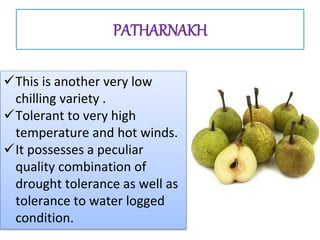 DESCRIPTION AND IDENTIFICATION OF VARIETIES IN PEAR | PPTX