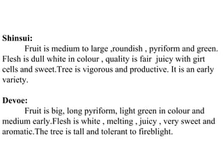 DESCRIPTION AND IDENTIFICATION OF VARIETIES IN PEAR | PPTX