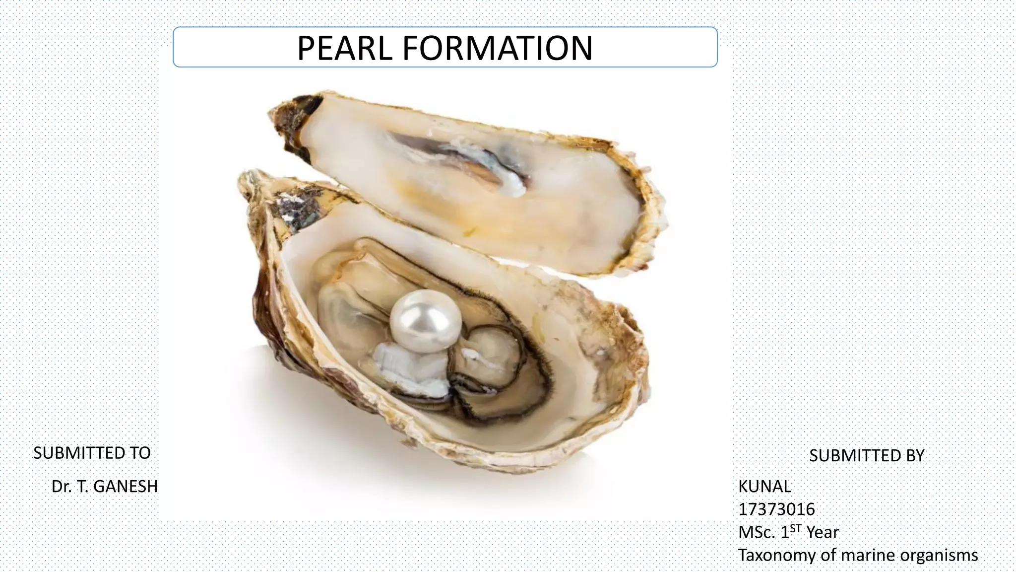 Pearl Formation | PDF