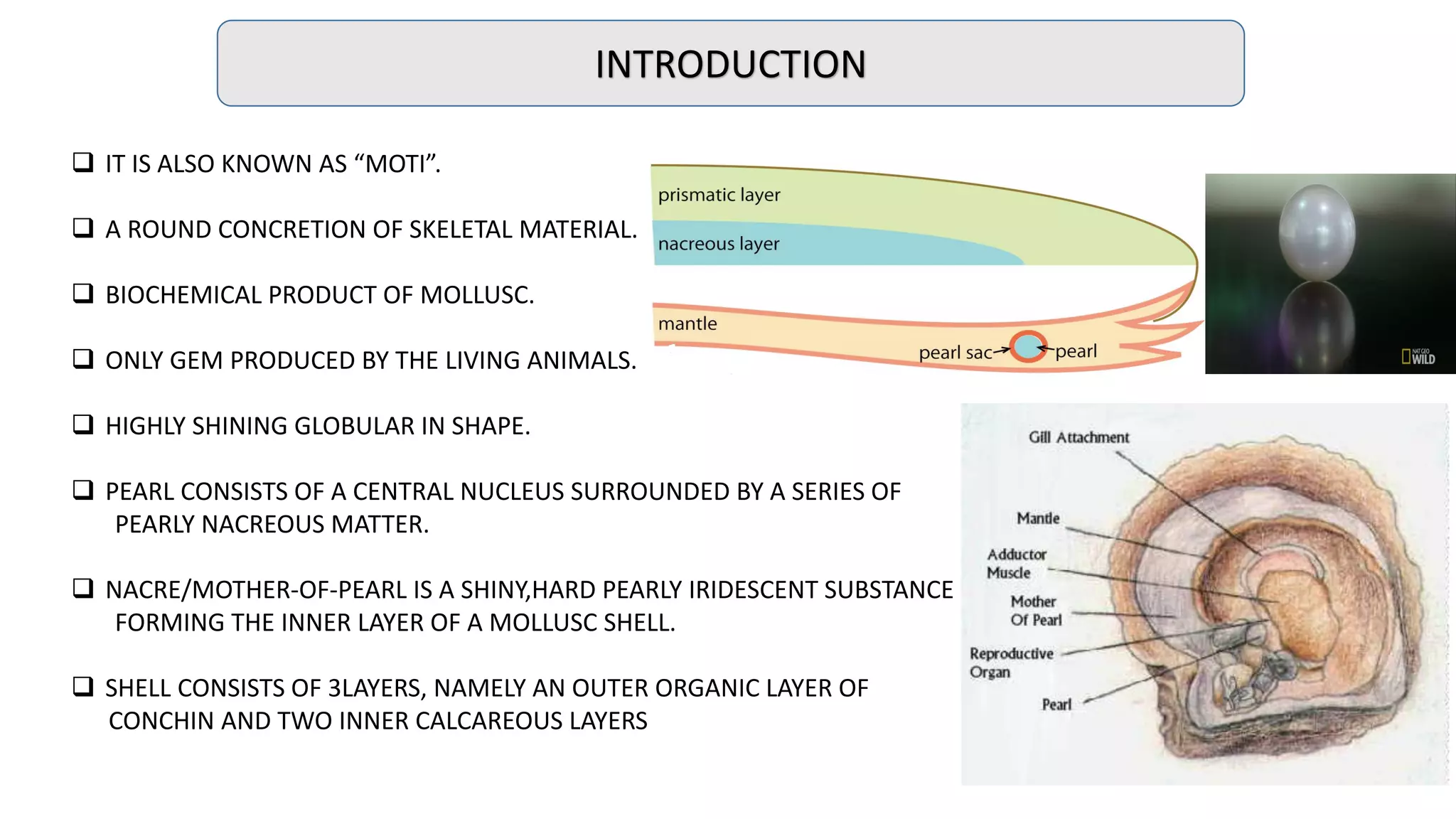 Pearl Formation | PDF