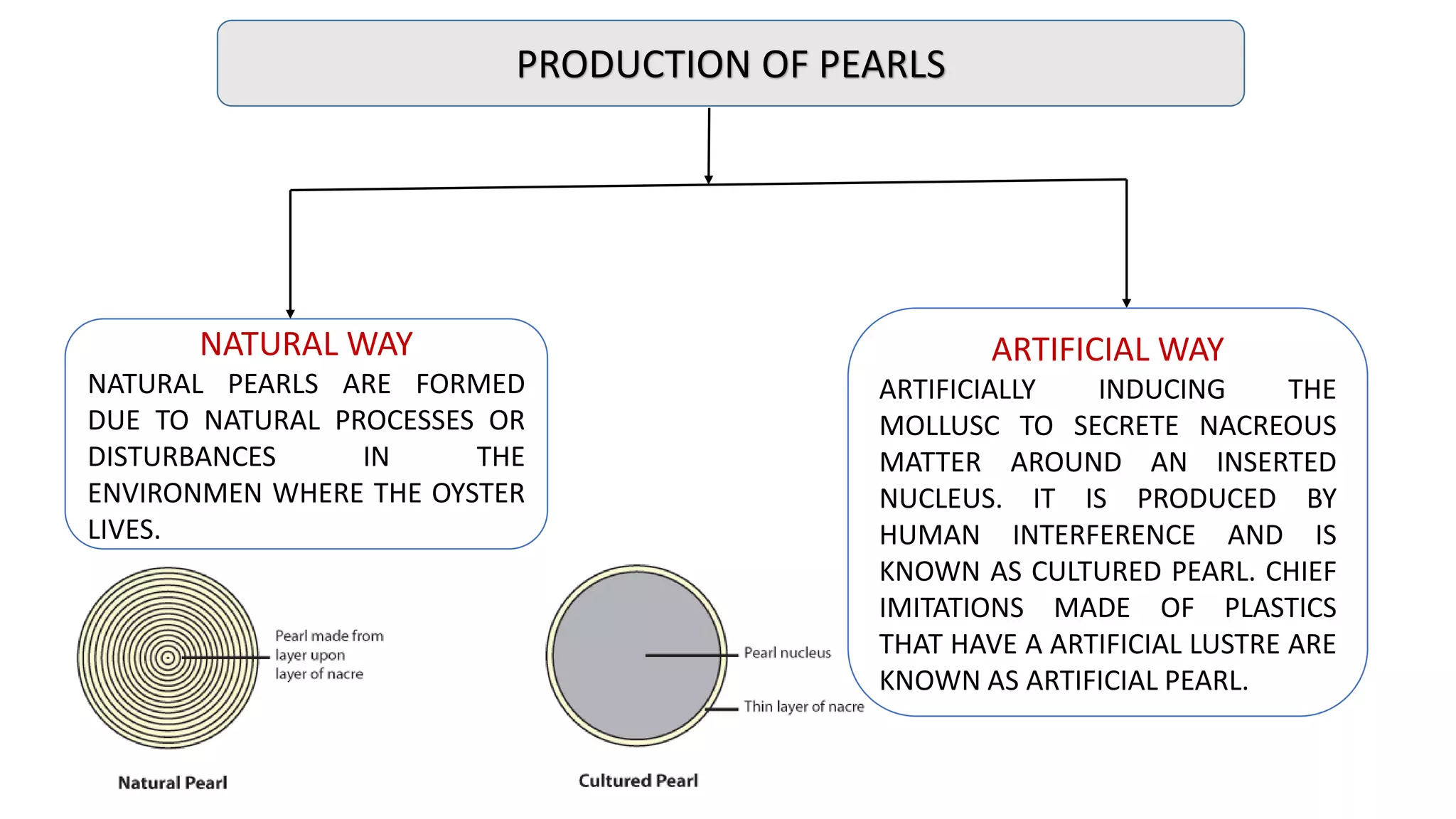 Pearl Formation | PDF