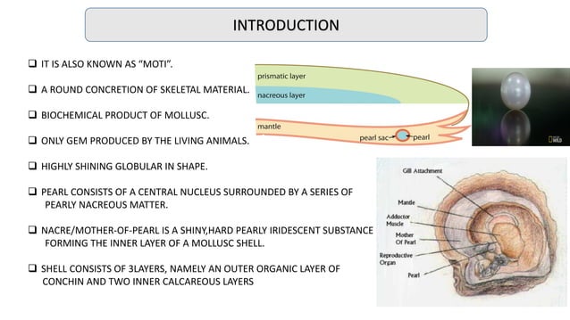 Pearl Formation | PDF | Geology | Science