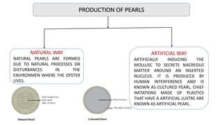 Pearl Formation | PDF