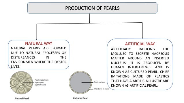 Pearl Formation