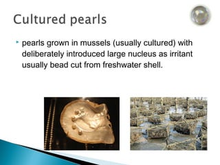 Pearl | PPT