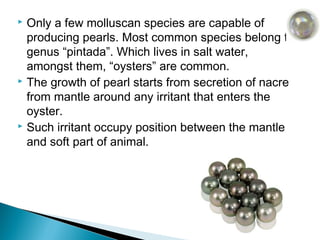 Pearl | PPT