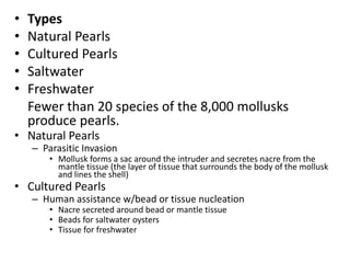 Pearl Culture | PPTX