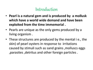 Pearl Culture | PPTX