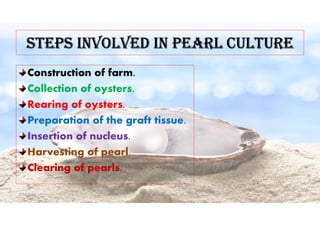 Pearl culture | PDF