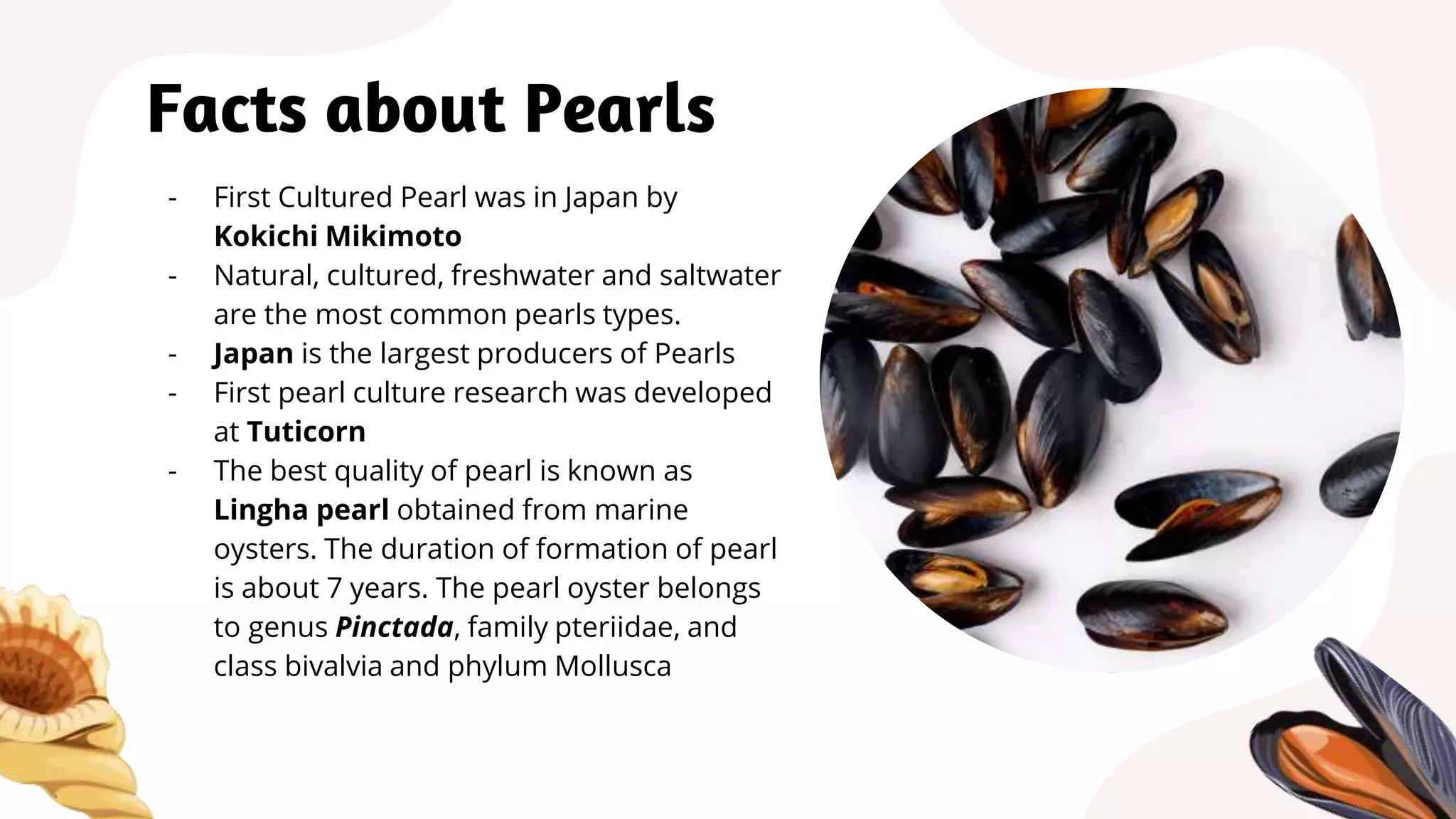 Pearl Culture | PPTX