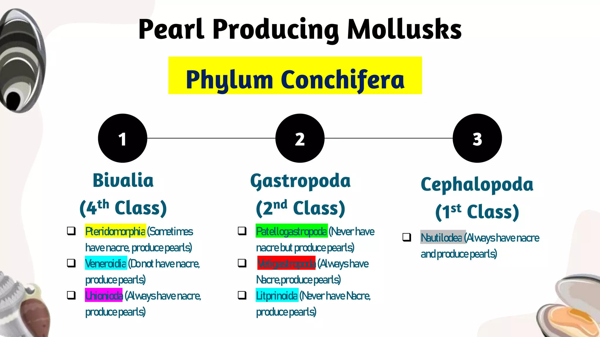 Pearl Culture | PPTX