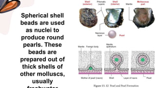 Pearl Culture | PPTX