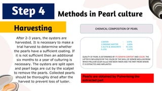 Pearl Culture | PPTX