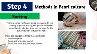 Pearl Culture | PPTX