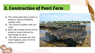 Pearl Culture | PPTX