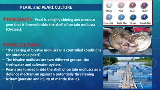 Pearl Culture by Kajal Maurya M.Sc. I Year.pptx