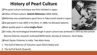 Pearl Culture by Kajal Maurya M.Sc. I Year.pptx
