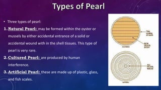 Pearl Culture by Kajal Maurya M.Sc. I Year.pptx